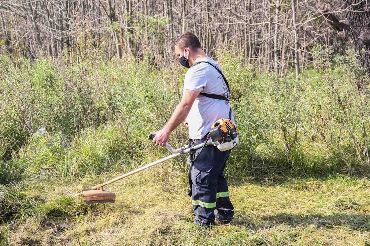 Jornada en el ex Instituto Alvear: "Queremos poner el predio a ...